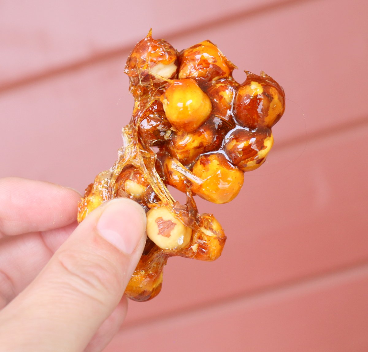 Caramelized Lazy Hazelnuts-100 Percent Easy - 5 Star Cookies