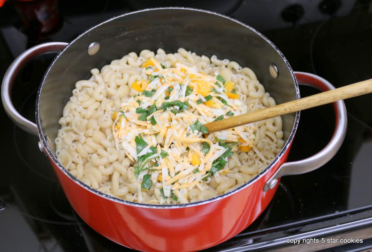 Italian Pasta Cheese Torte - Oven Best Recipes - 5 Star Cookies