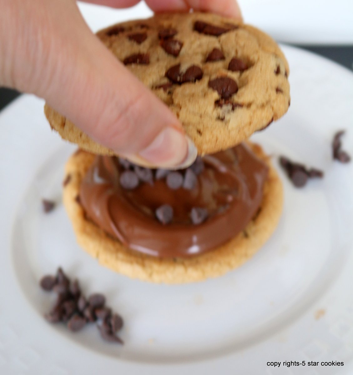 Chocolate Chip Cookie Recipe-The Best Cookies - 5 Star Cookies